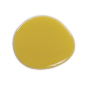 Divina Renieris Estate Extra Virgin Olive Oil-3 L - EURO USA