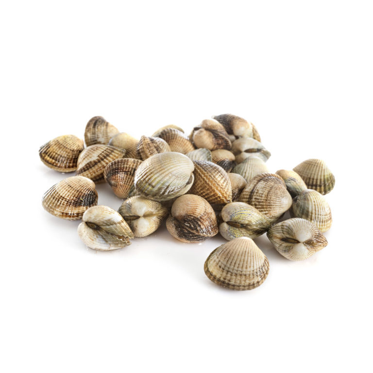 Cockles - EURO USA